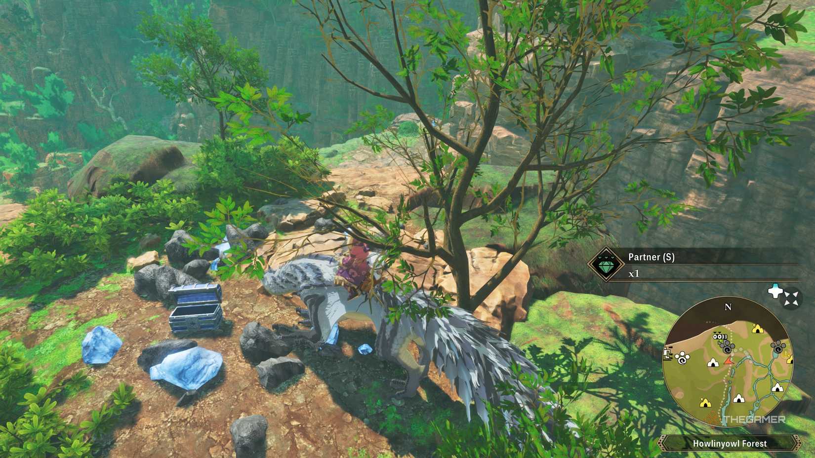 Where To Find All Treasure Chests In Canalta Timberland In Monster ...