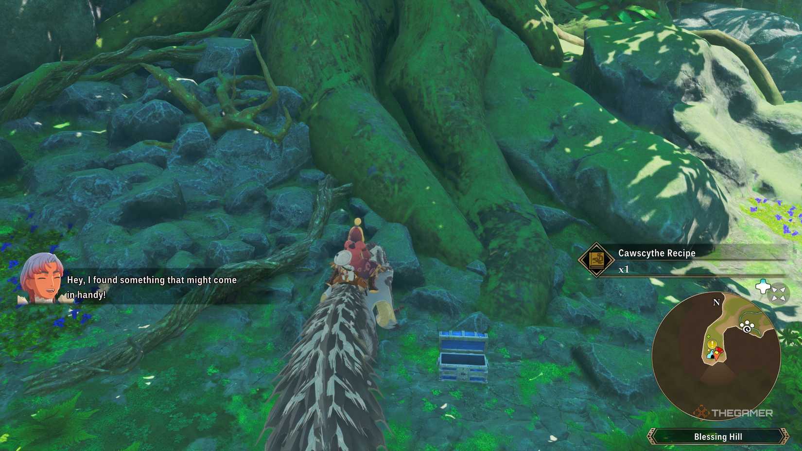 Where To Find All Treasure Chests In Canalta Timberland In Monster ...
