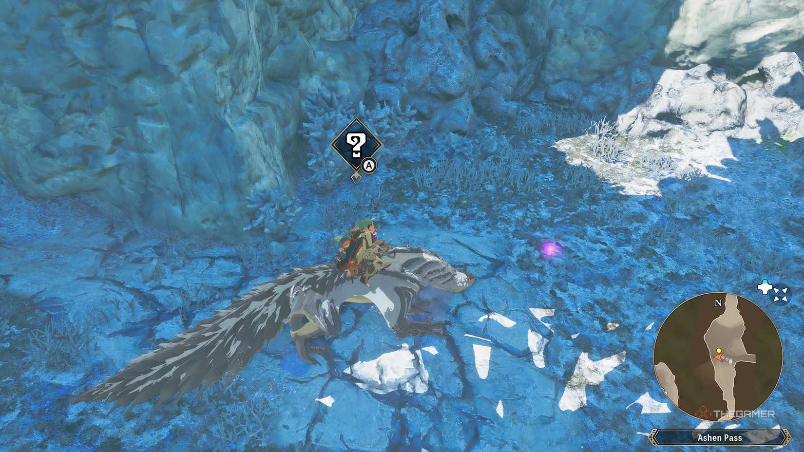 Where To Find All Track Items In Azuria In Monster Hunter Stories 3