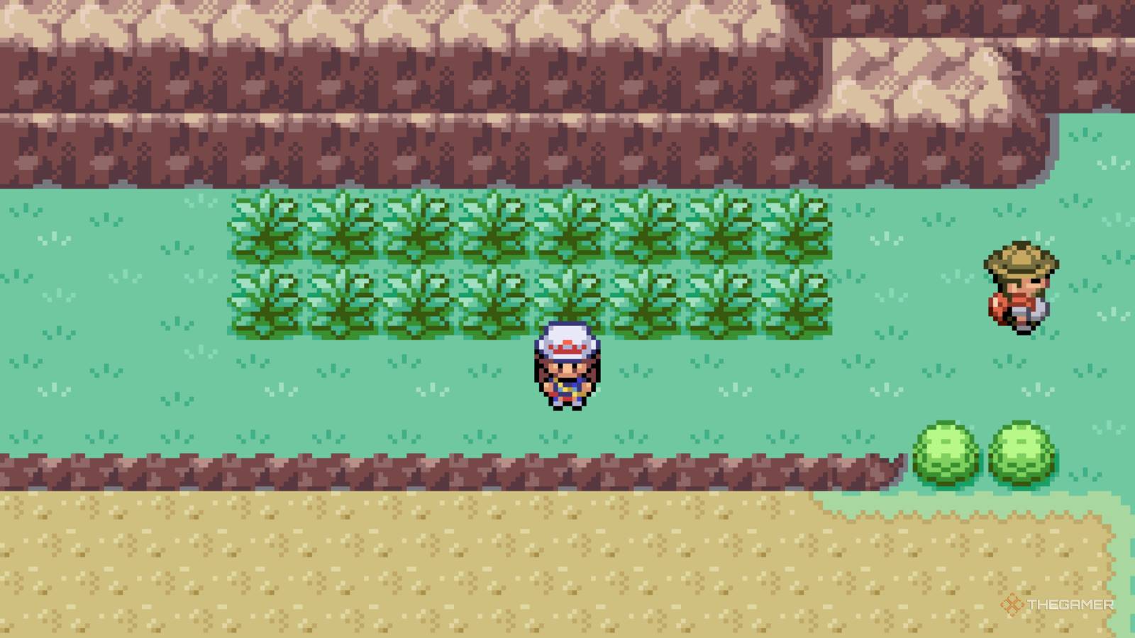 The Best Pokemon To Catch First In Pokemon FireRed And LeafGreen