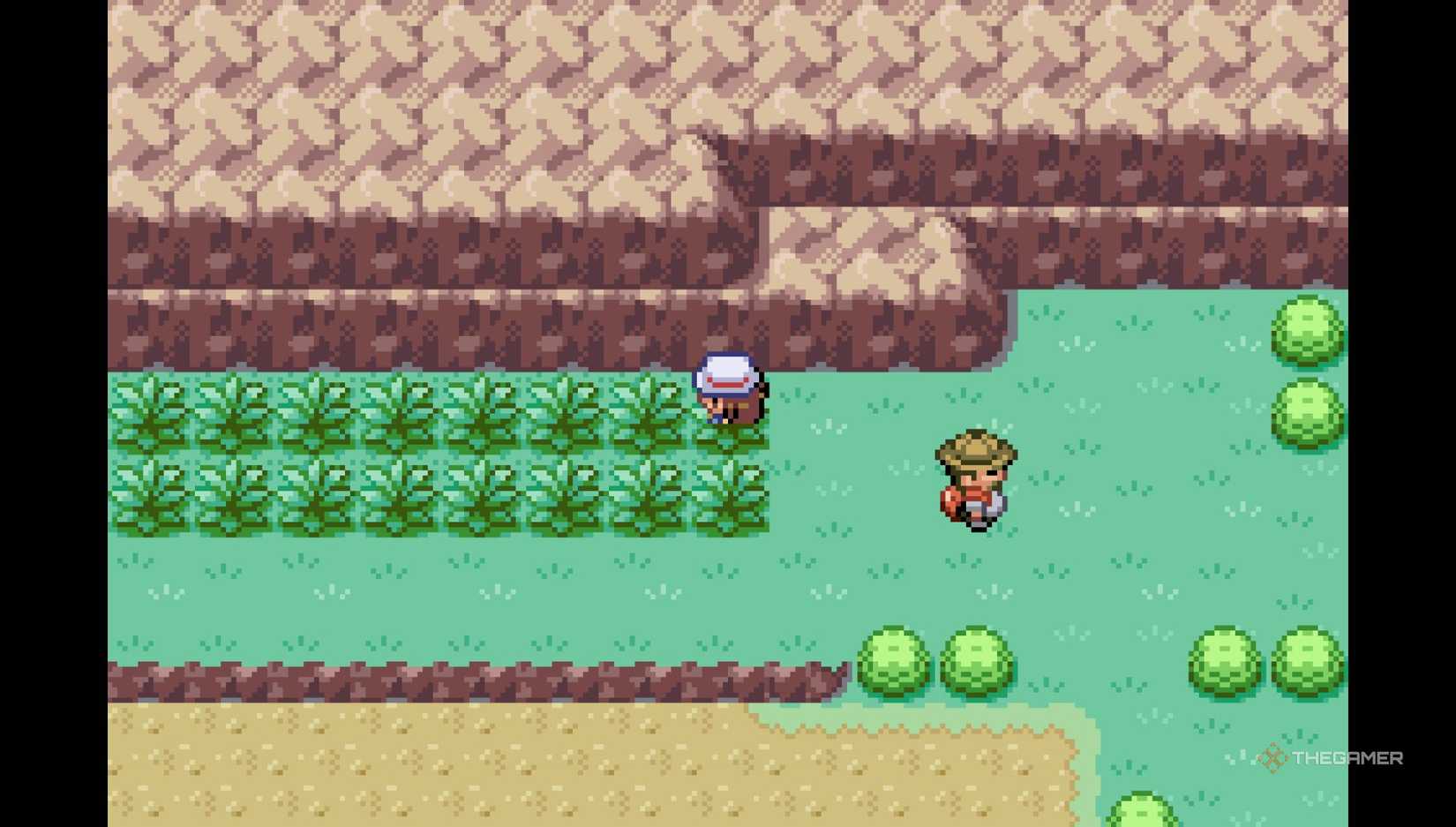 The Best Pokemon To Catch First In Pokemon FireRed And LeafGreen