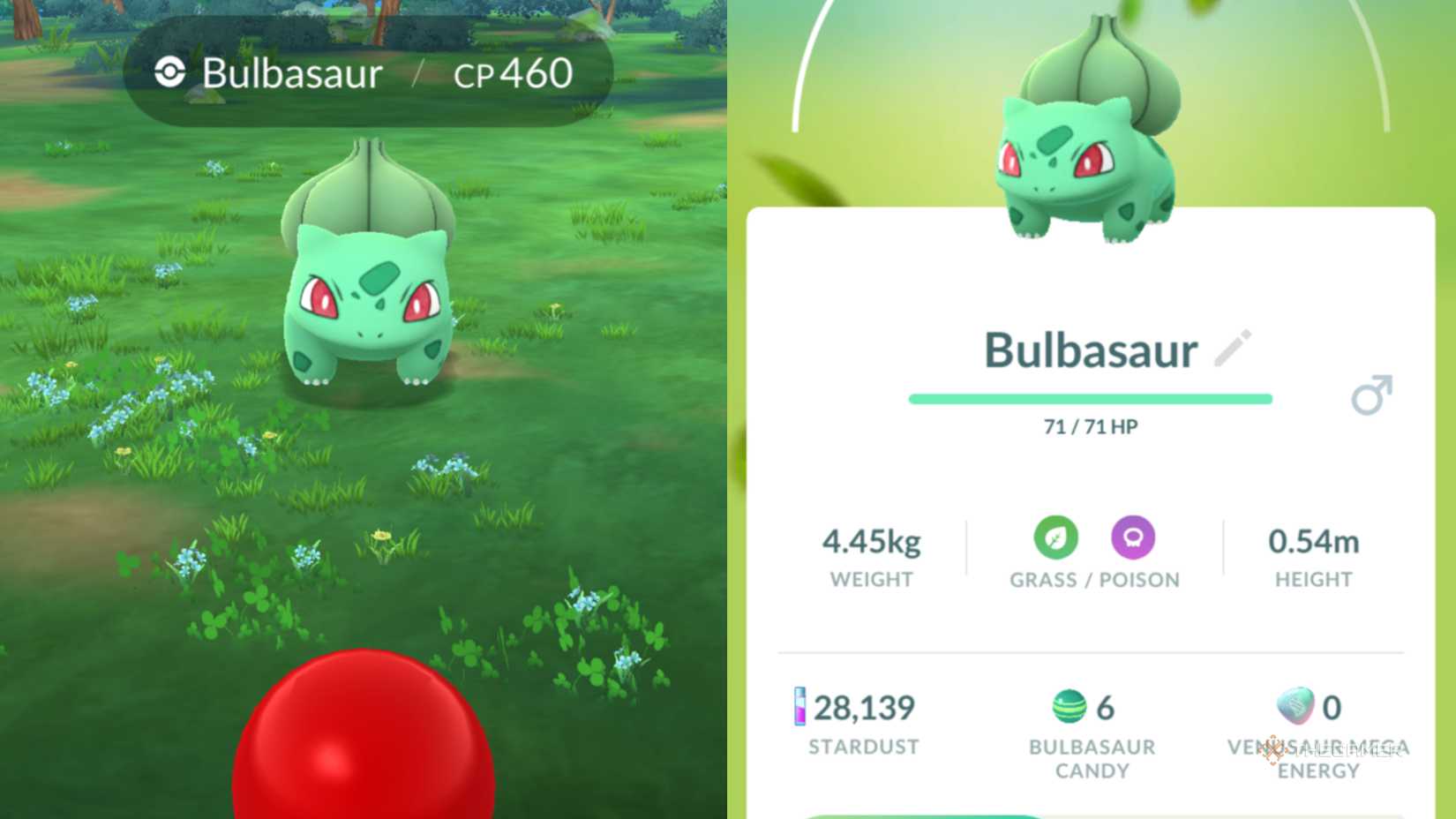 How To Get Ditto In Pokemon Go's Pokopia Celebration Event