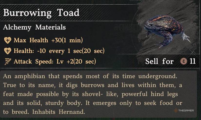 All Alchemy Materials And Where To Find Them In Crimson Desert