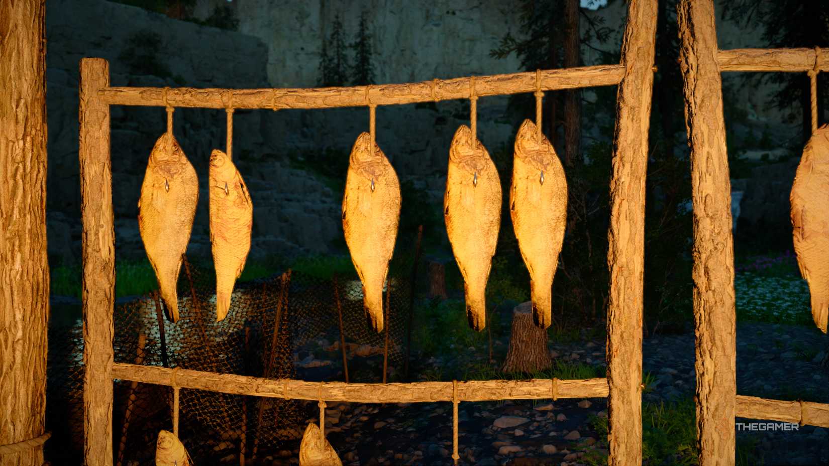 Where To Find All Fish In Crimson Desert