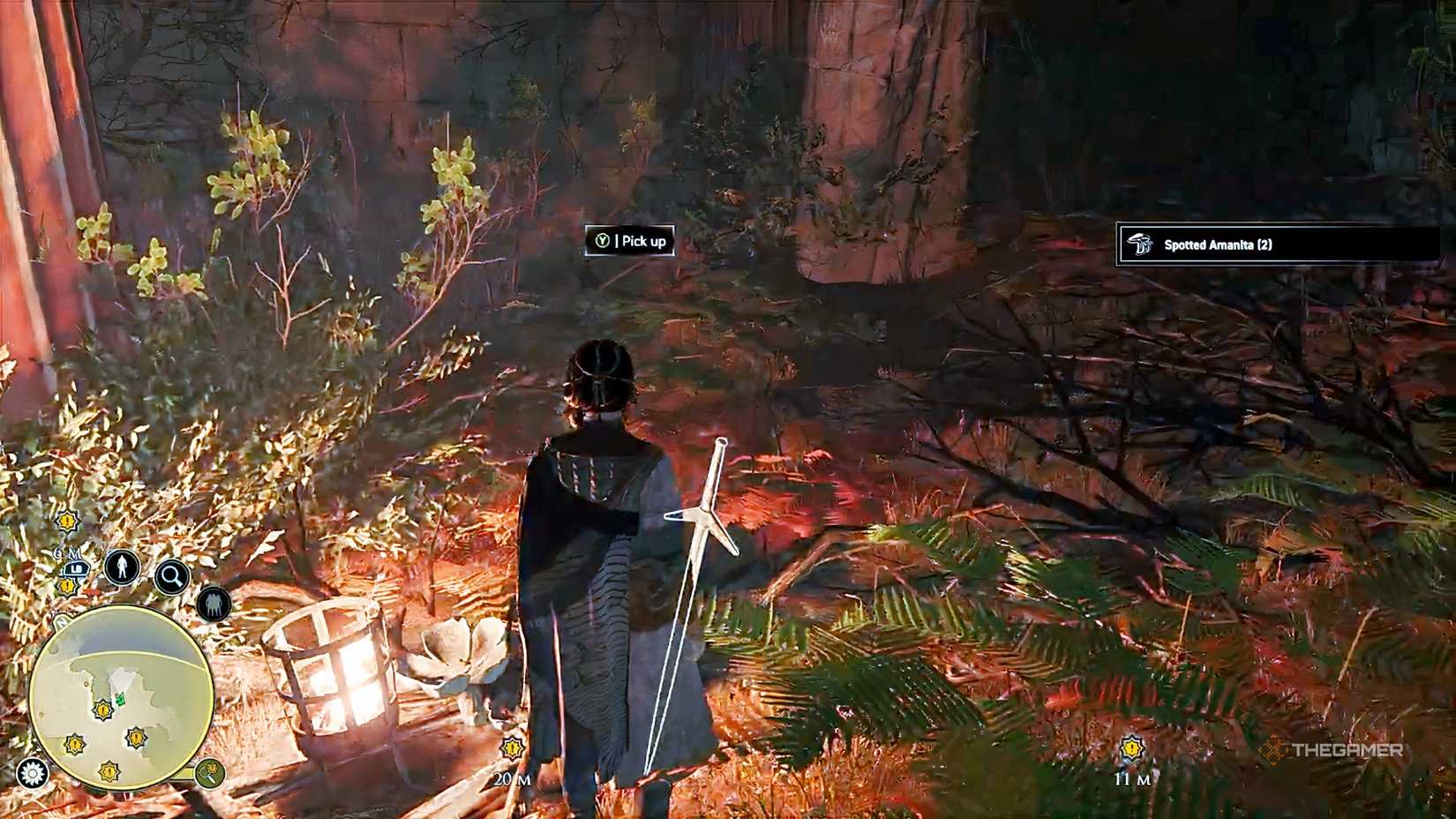 How To Solve The Tomb Of Kings Puzzle In Greedfall: The Dying World