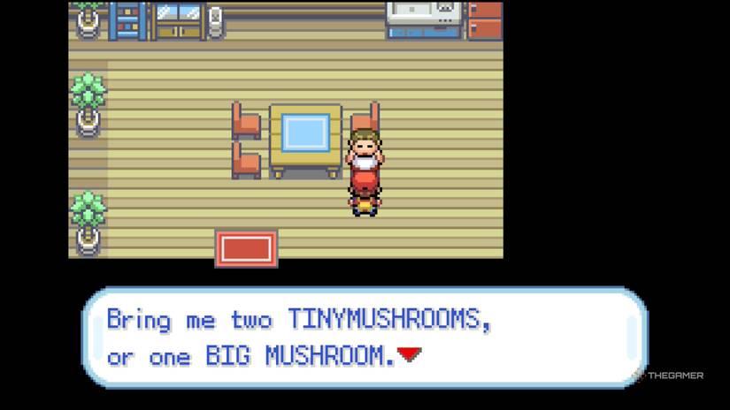 Where Are The Move Relearner And Deleter In Pokemon FireRed & LeafGreen?