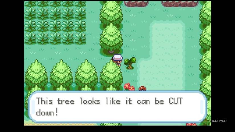 Where To Find All HMs In Pokemon FireRed & LeafGreen