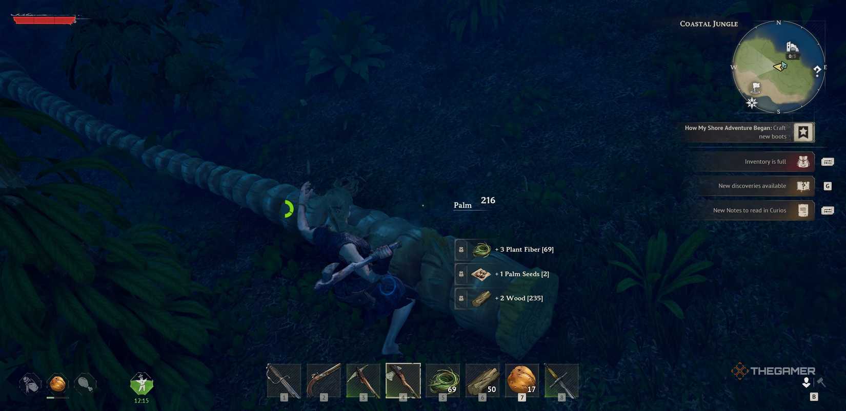 How To Obtain Palm Seeds In Windrose