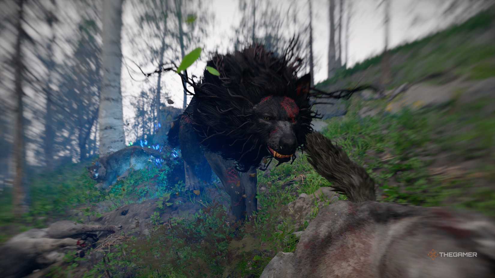 Where To Find The Shadow Claw Abyss Gear In Crimson Desert