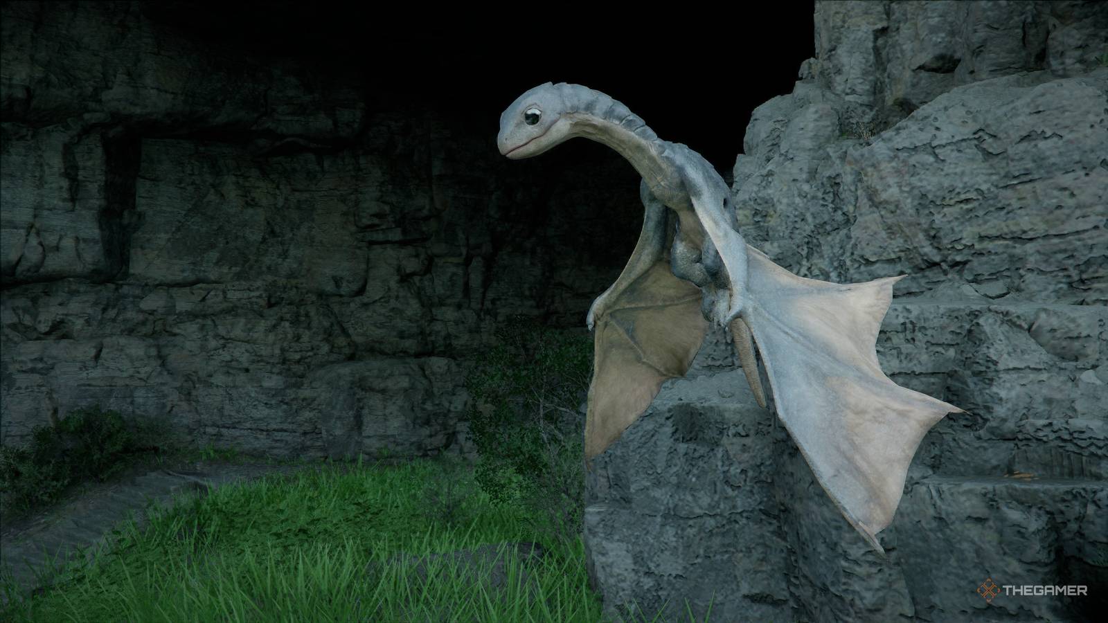 Where To Find The Baby Wyvern Pet In Crimson Desert