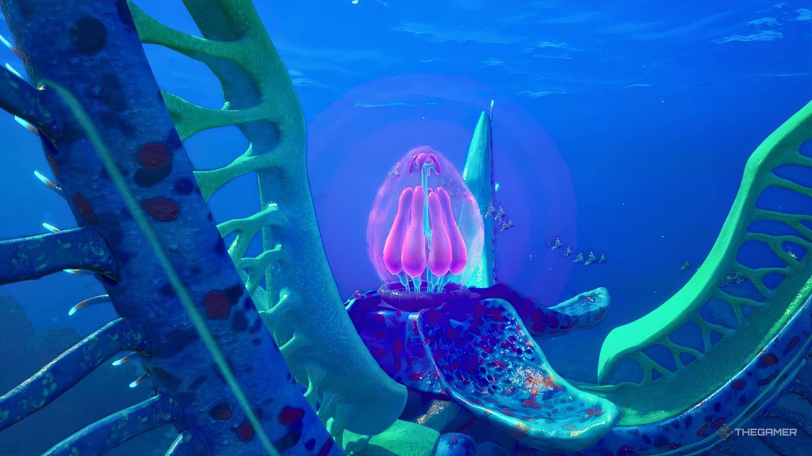 Where To Find Every Angel Comb In Subnautica 2
