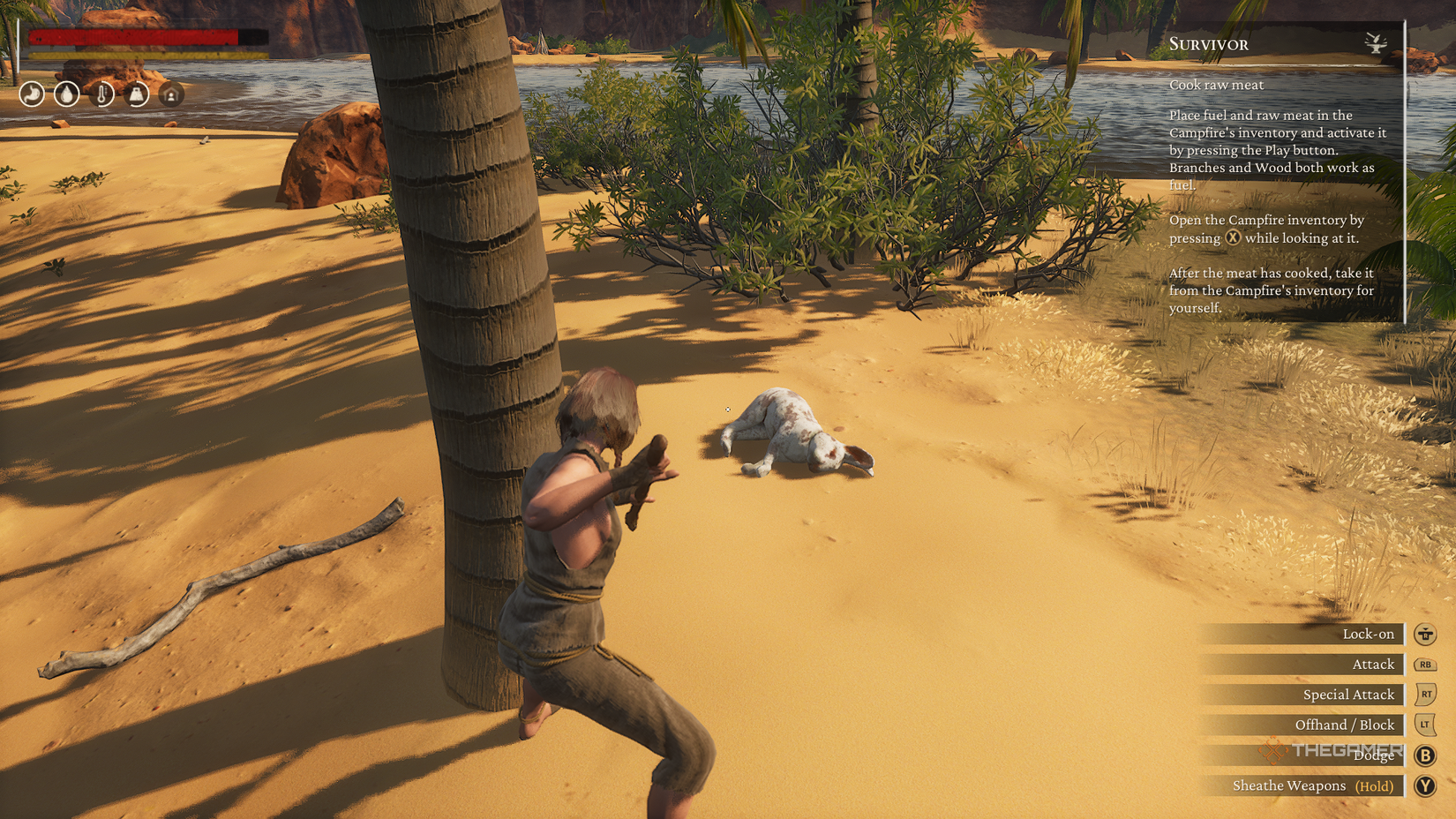 Should You Pick A PvP, PvE, or PvE Conflict Server In Conan Exiles ...