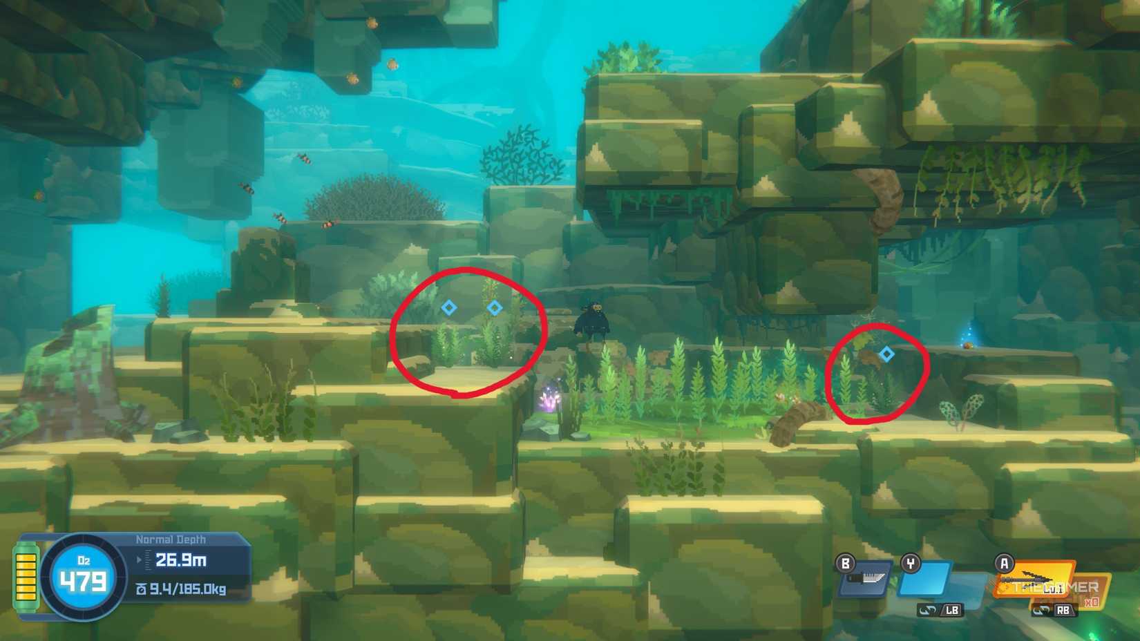 Where To Find Hornwort In Dave The Diver: In The Jungle