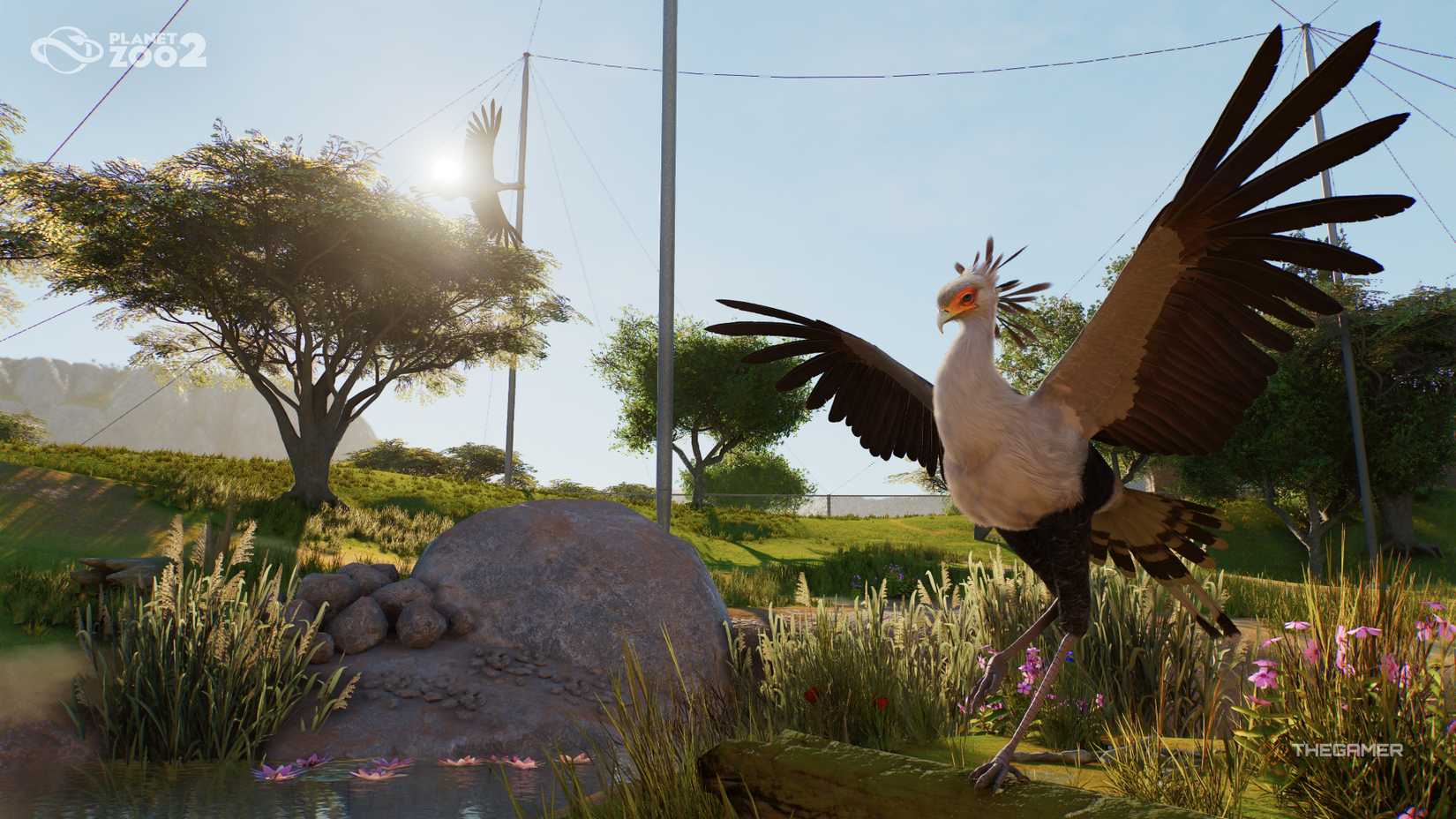 Planet Zoo 2 Gives The Community What It’s Always Wanted: Aquariums ...