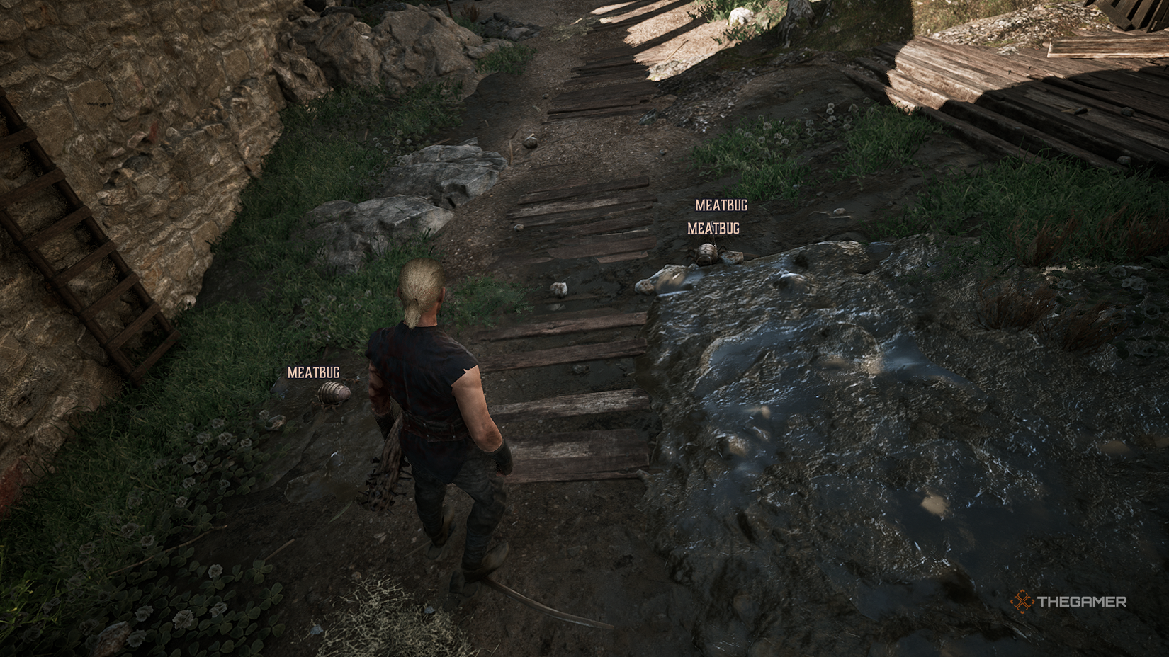 How To Get Ingredients For Snaf's Recipe In Gothic 1 Remake